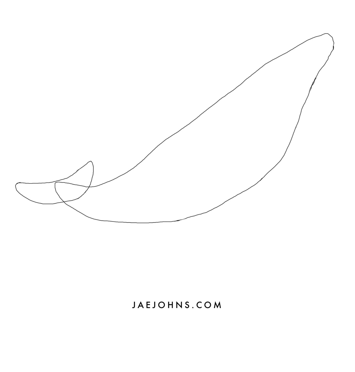 How to Draw a Whale
