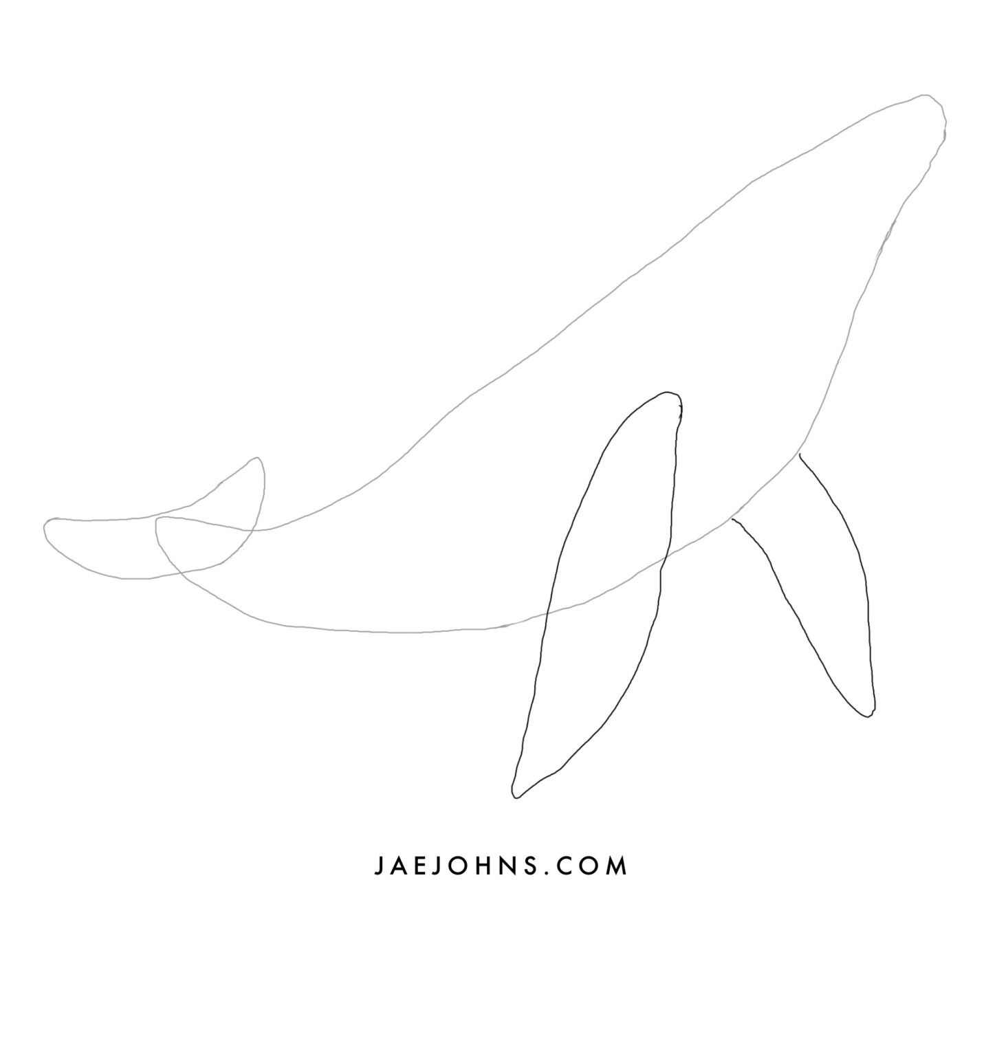How to Draw a Whale