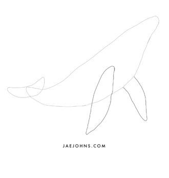 How to Draw a Whale
