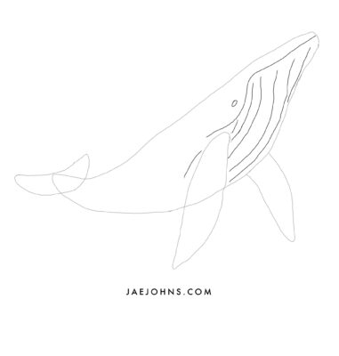 How to Draw a Whale