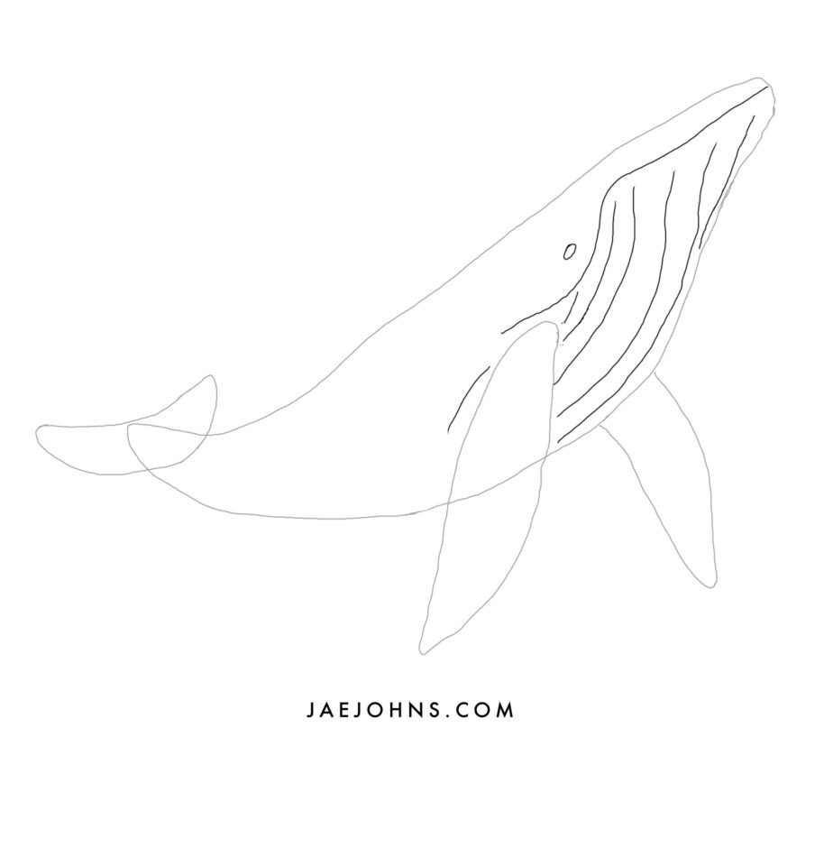How to Draw a Whale