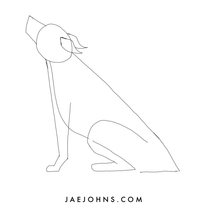How to Draw a Wolf