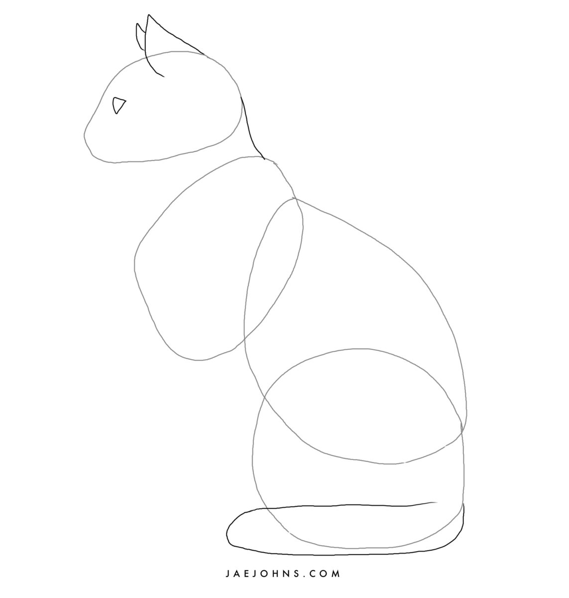 How to Draw a Cat