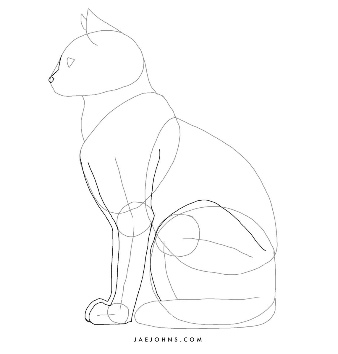 How to Draw a Cat