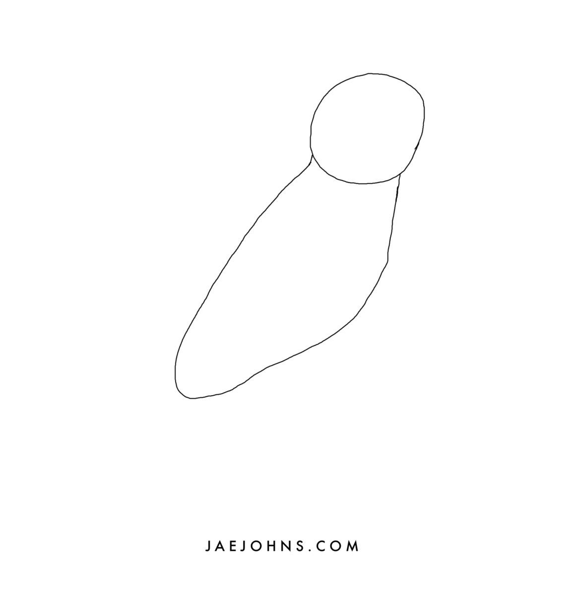 5 Easy Steps to Draw a Hummingbird