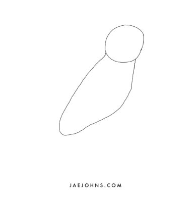 5 Easy Steps to Draw a Hummingbird