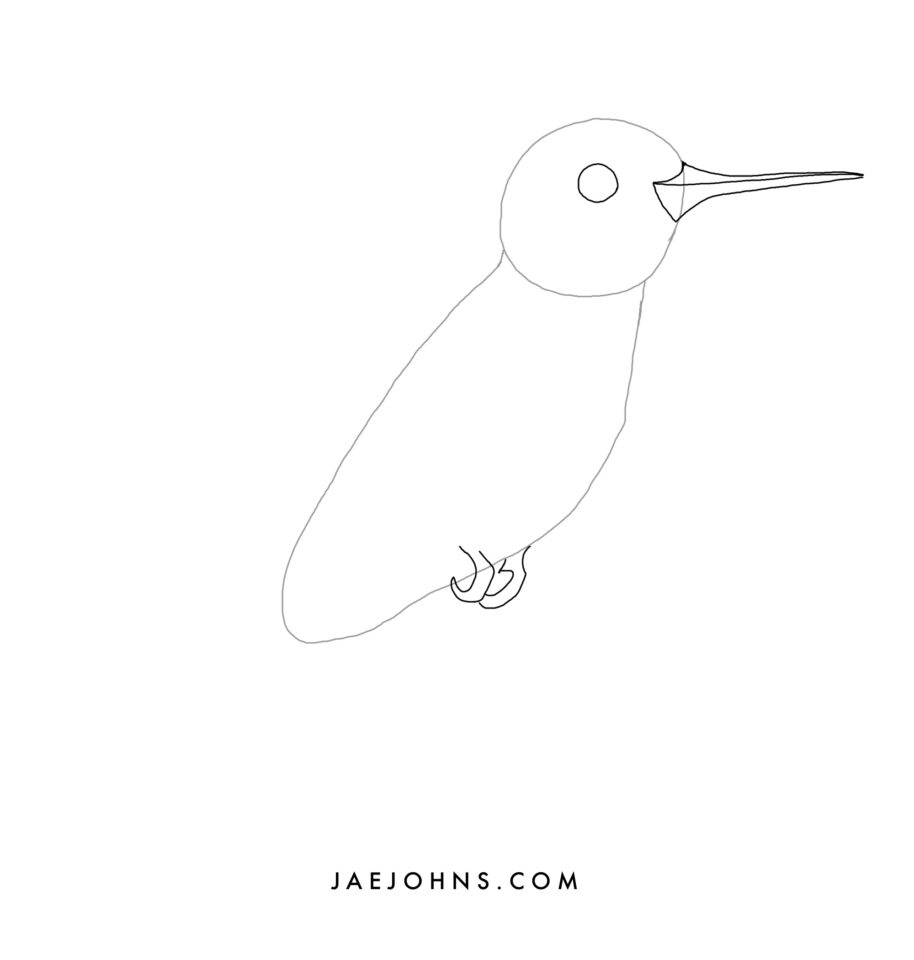 5 Easy Steps to Draw a Hummingbird