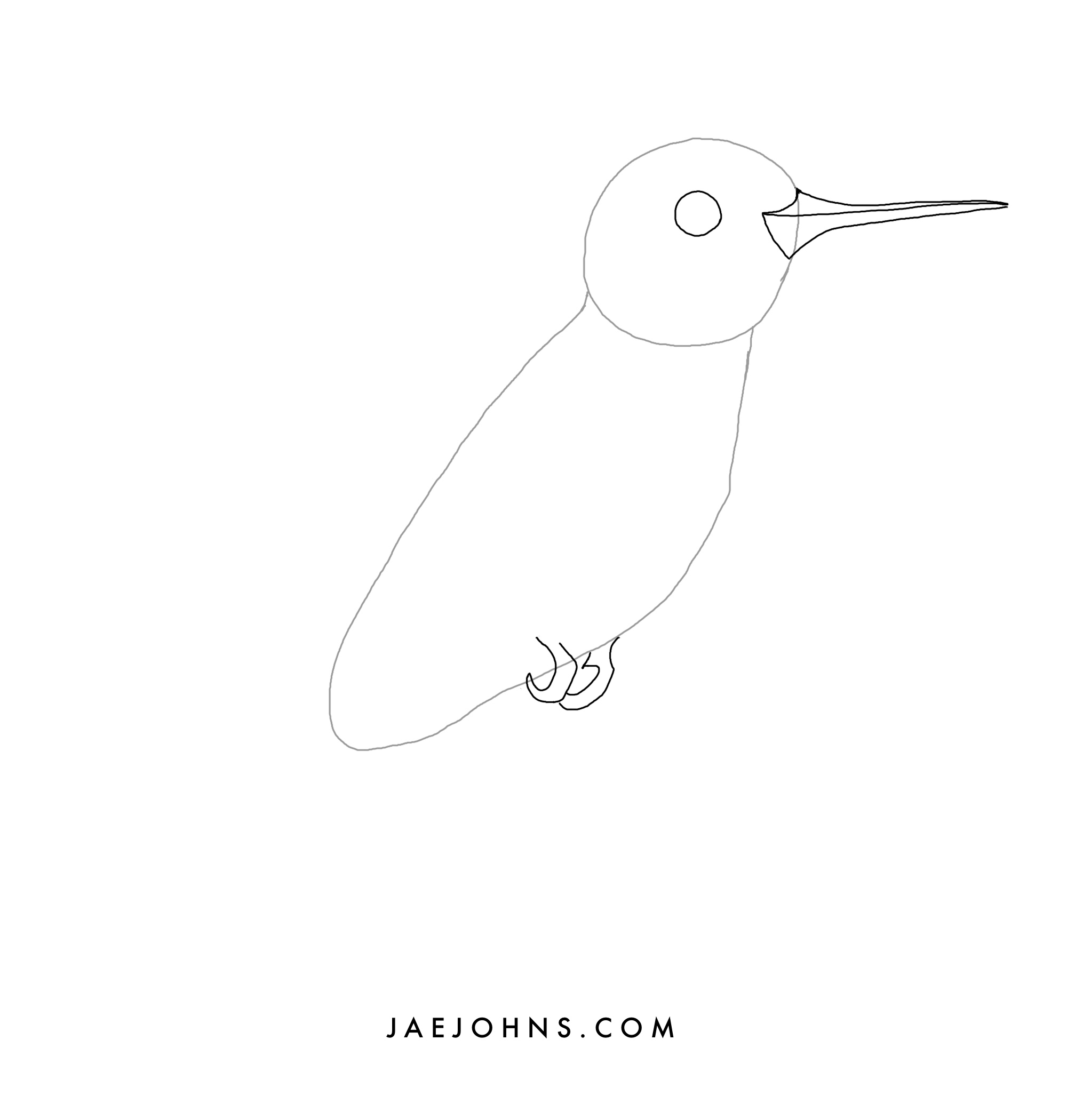 5 Easy Steps to Draw a Hummingbird