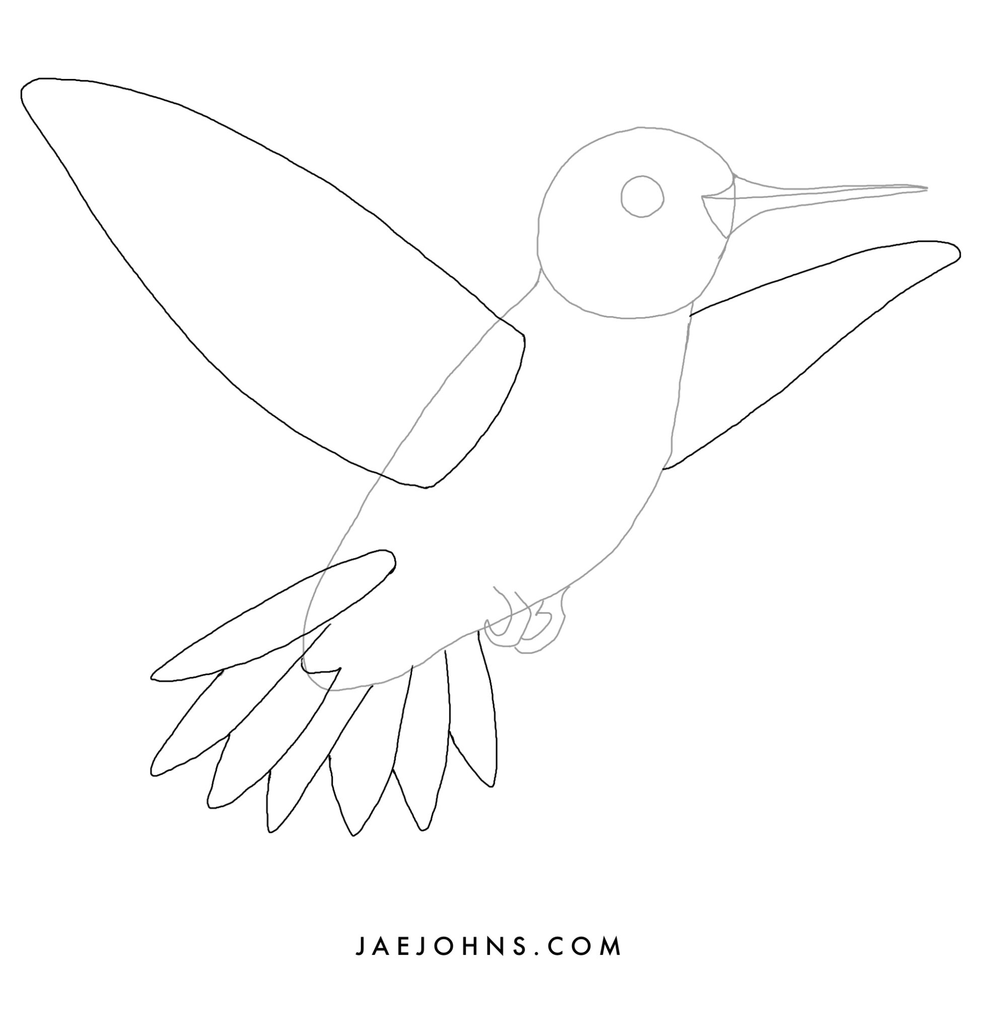 5 Easy Steps to Draw a Hummingbird