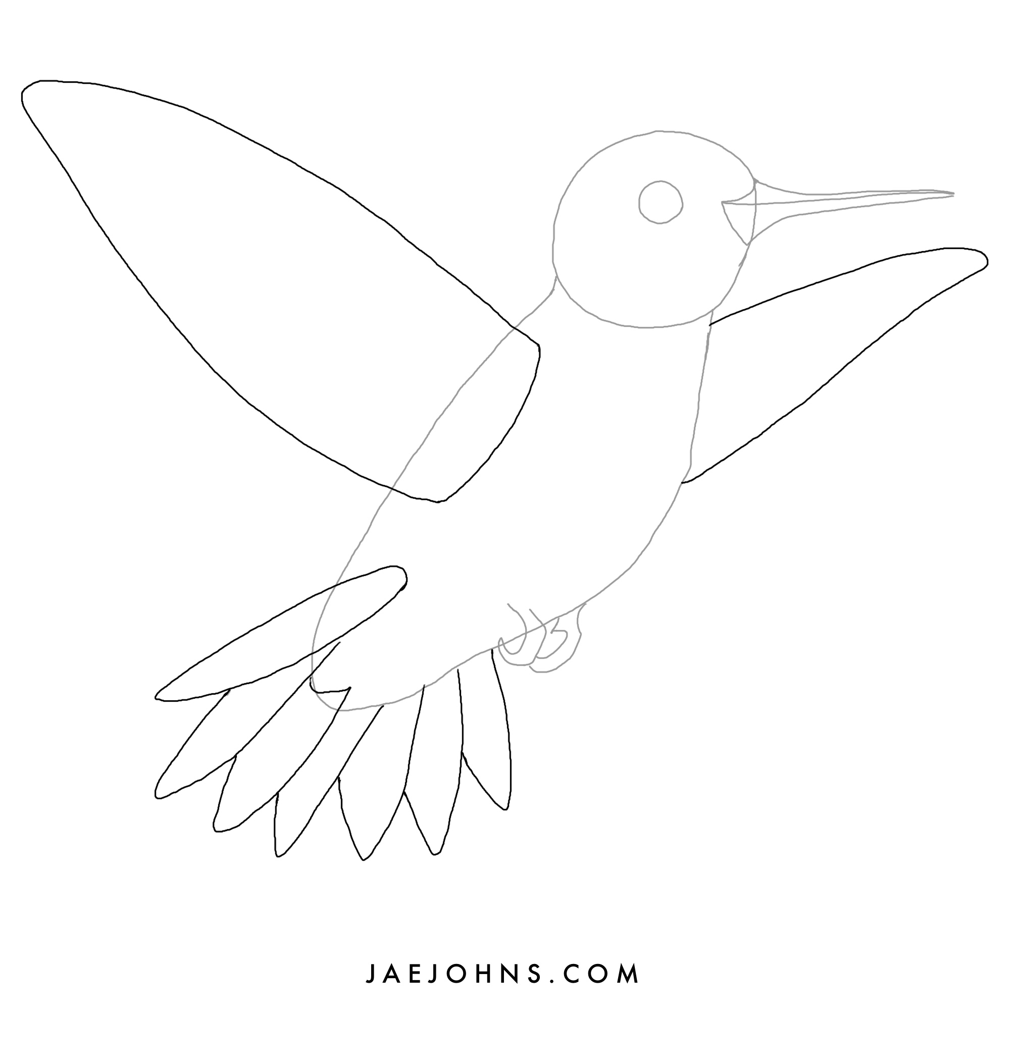 5 Easy Steps to Draw a Hummingbird