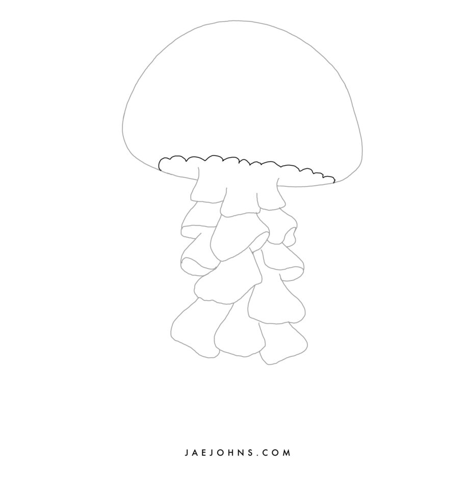 How to Draw a Jellyfish