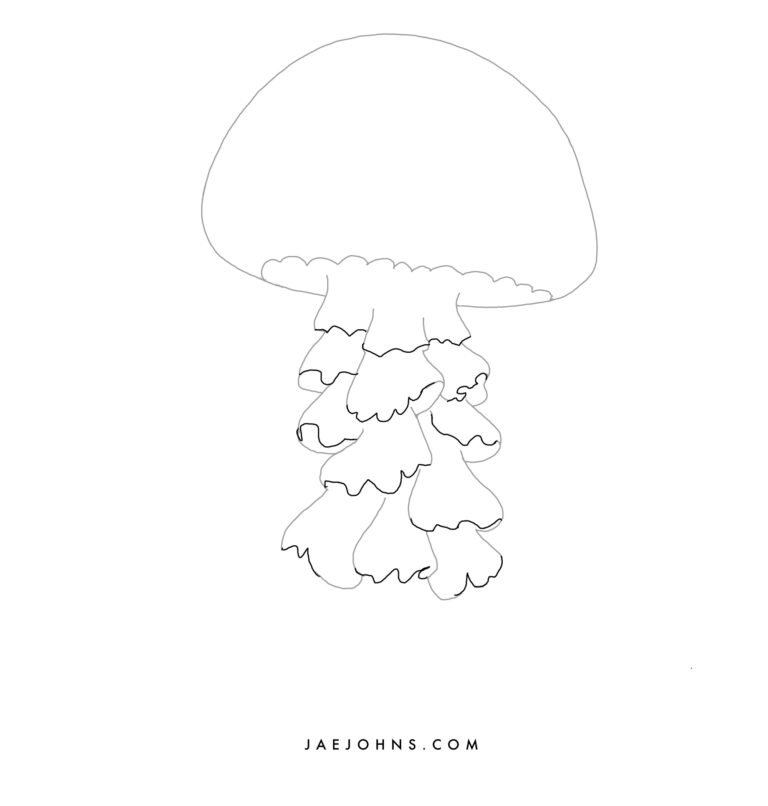 How to Draw a Jellyfish