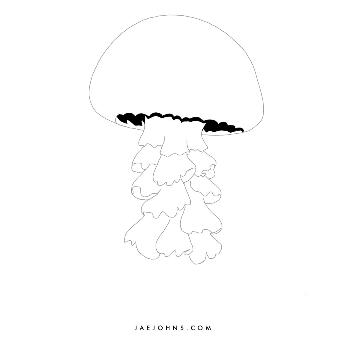 How to Draw a Jellyfish