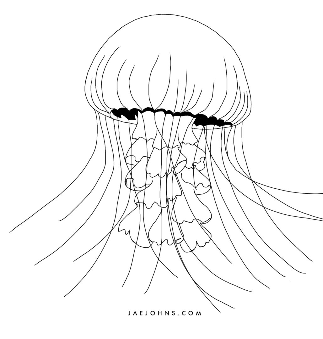 How to Draw a Jellyfish