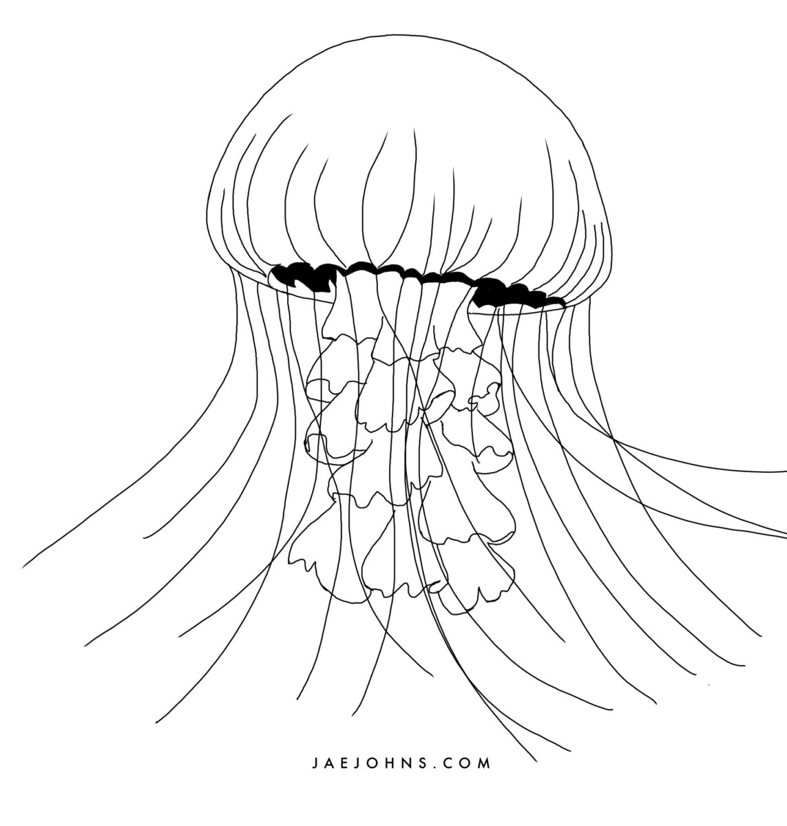 How to Draw a Jellyfish