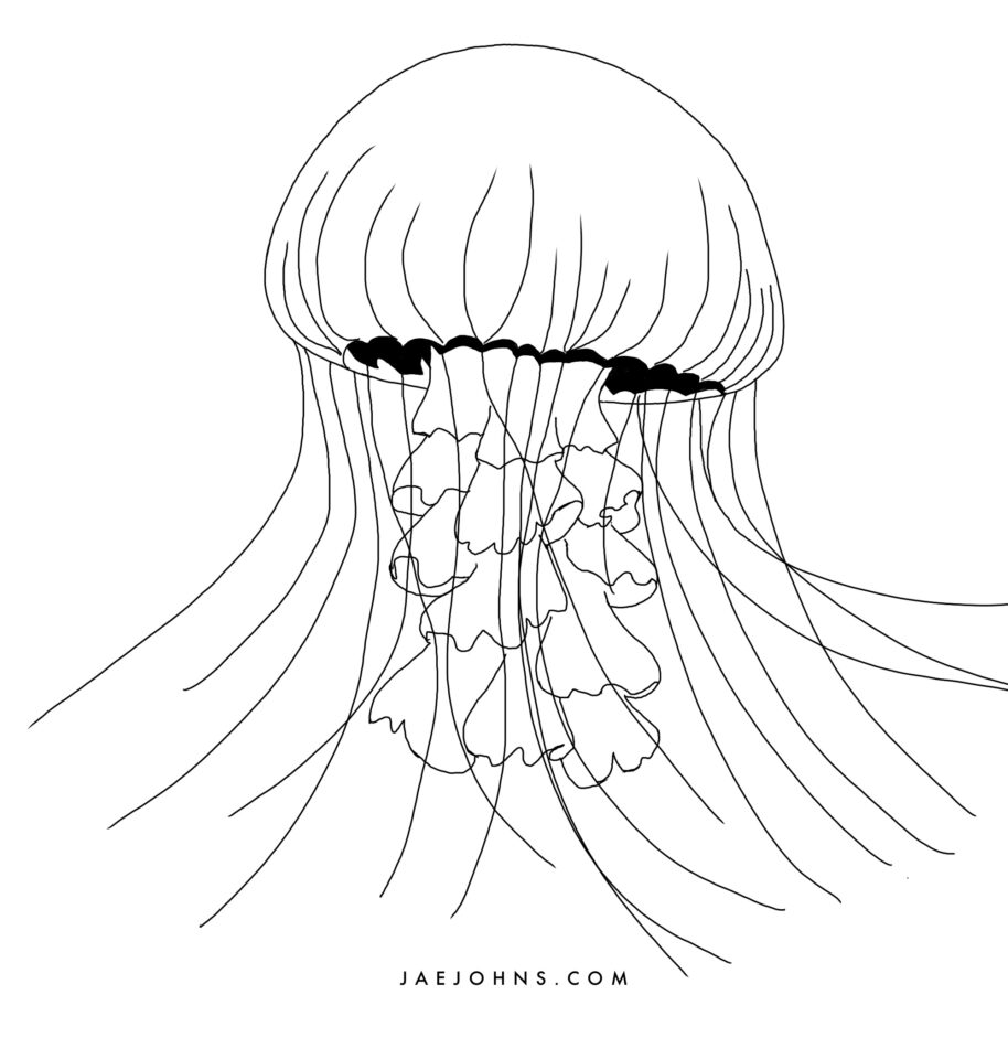 How to Draw a Jellyfish