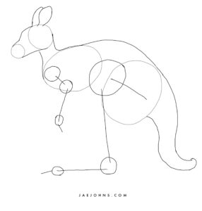 5 Easy Steps to Draw a Kangaroo