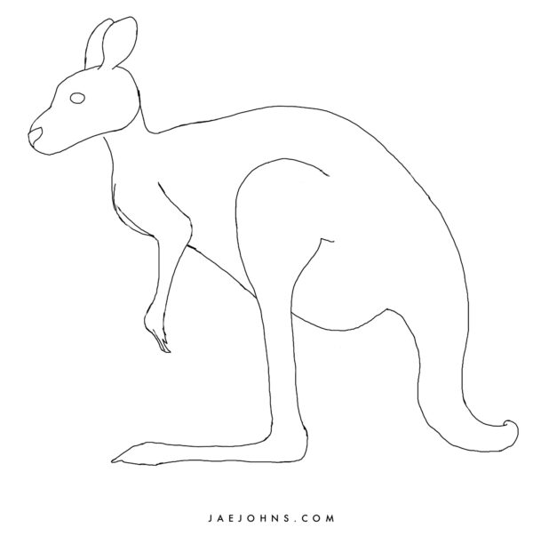 5 Easy Steps to Draw a Kangaroo