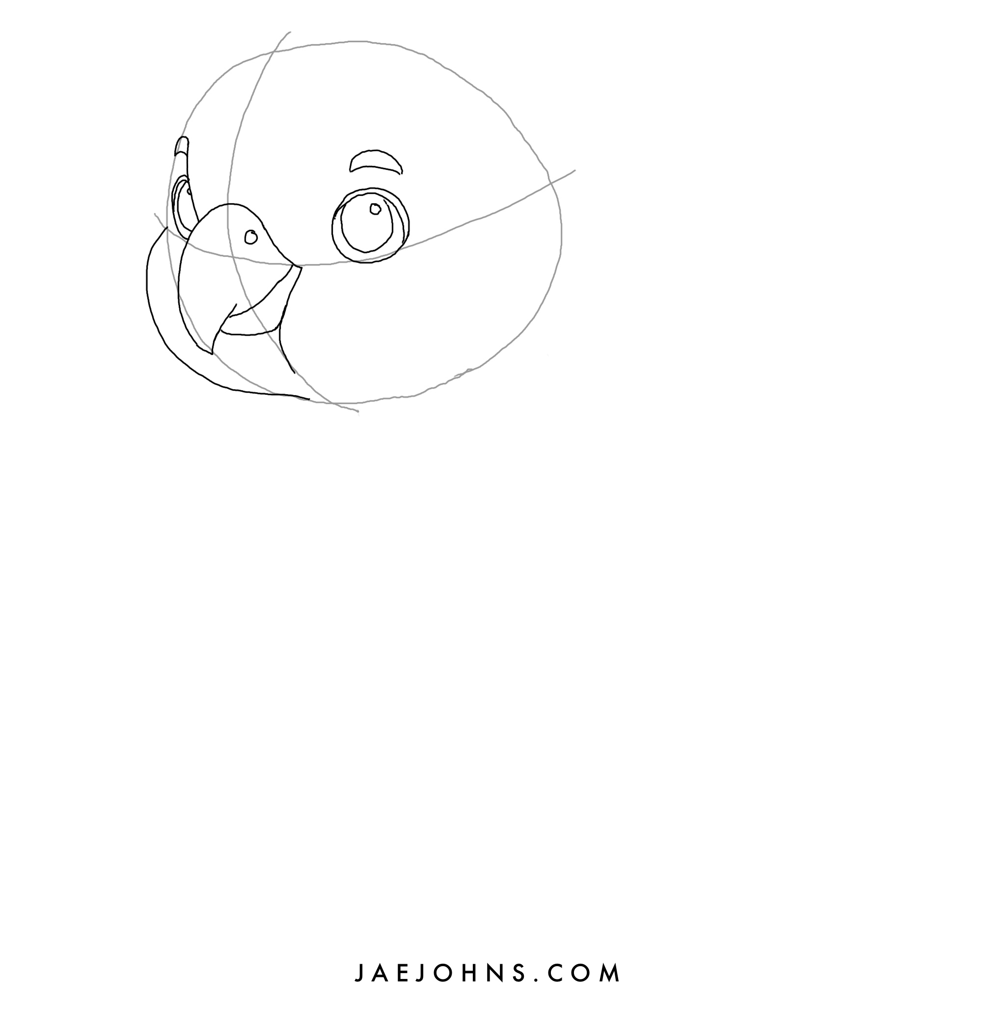 How to Draw a Parrot