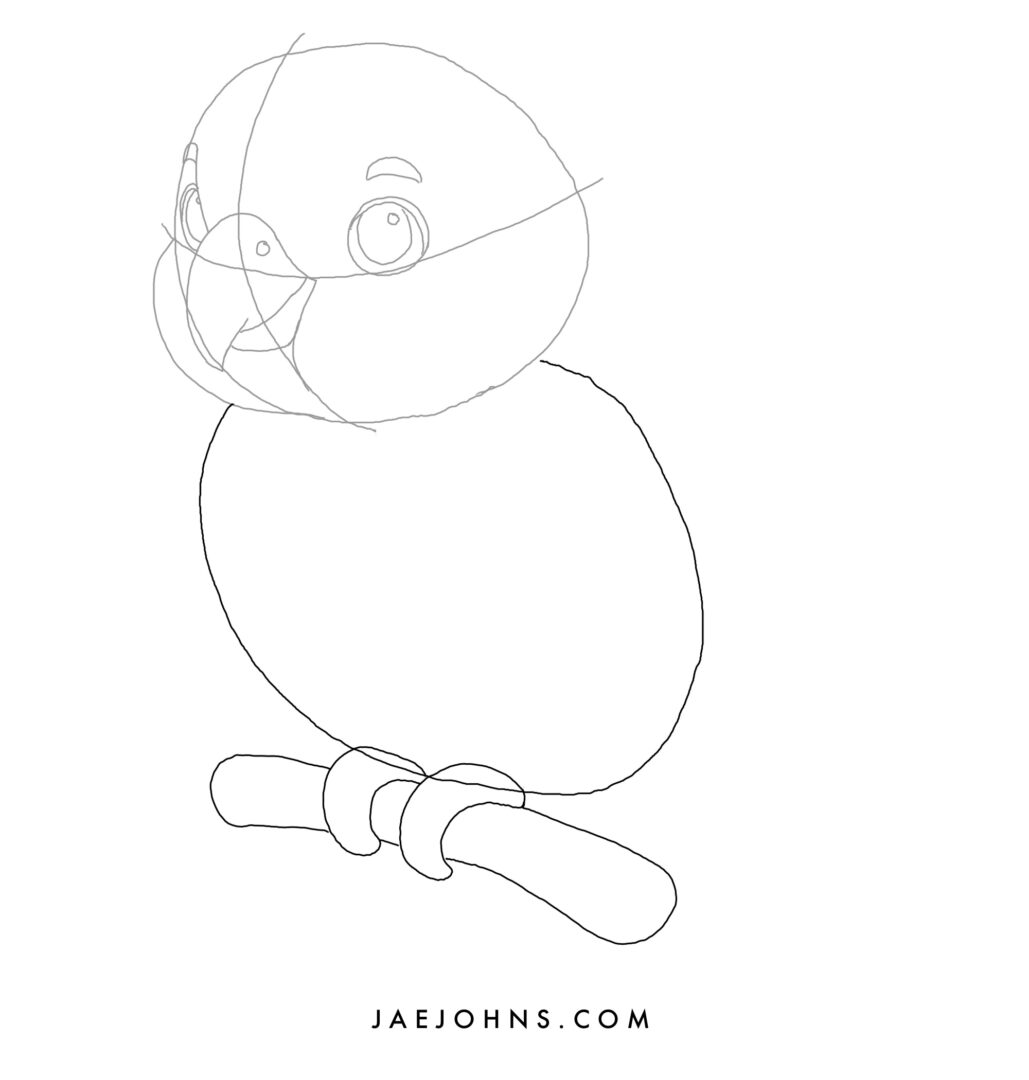 How to Draw a Parrot