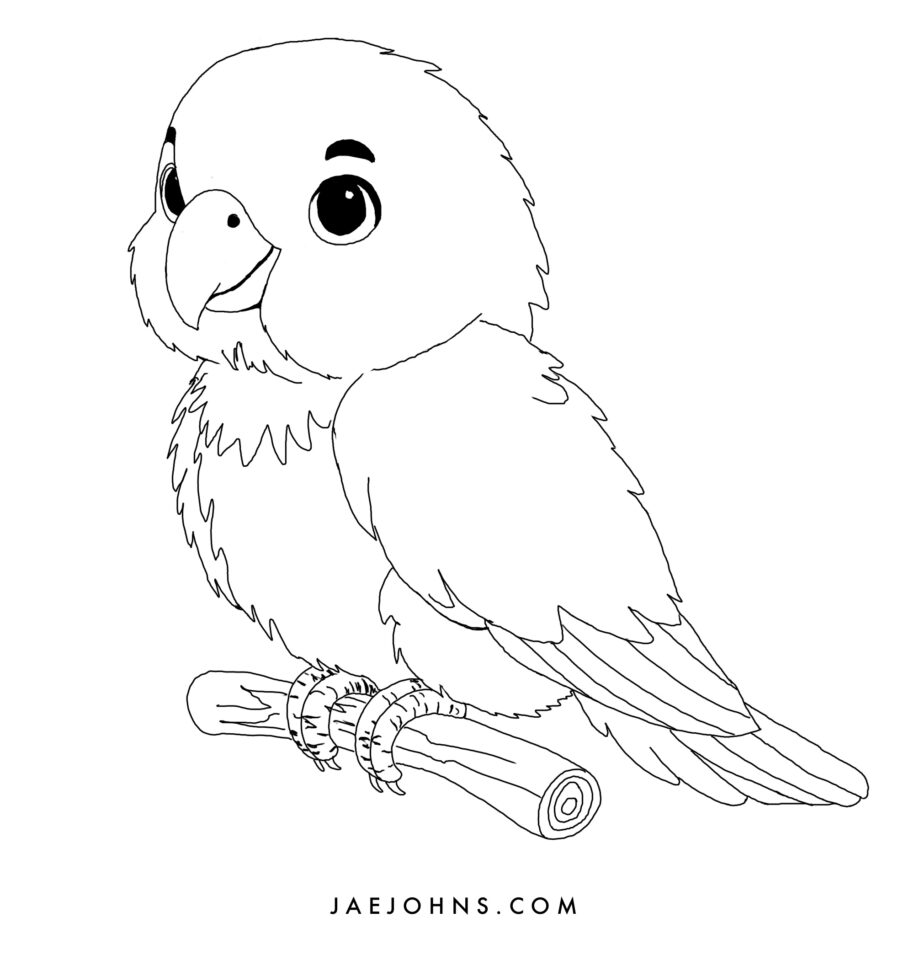 How to Draw a Parrot