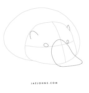 5 Easy Steps to Draw a Platypus