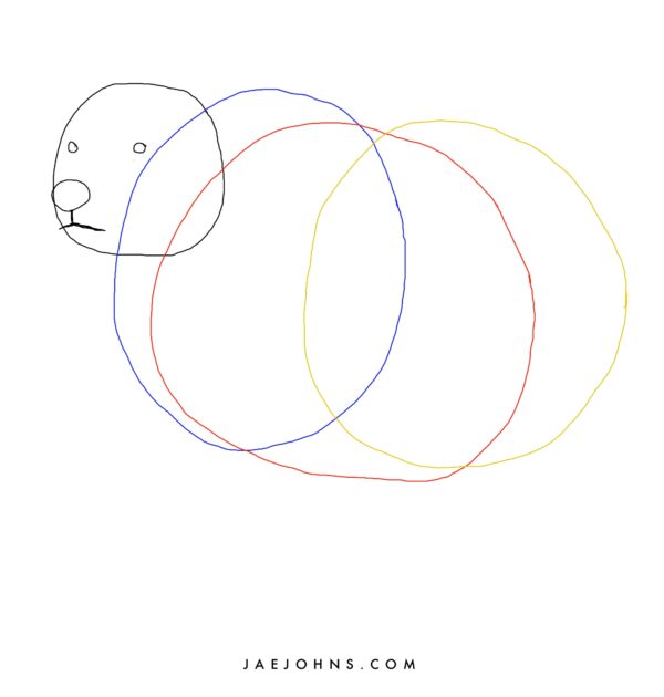 5 Steps to Draw a Polar Bear