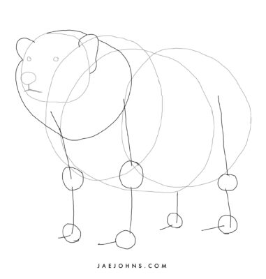 5 Steps to Draw a Polar Bear