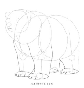 5 Steps to Draw a Polar Bear