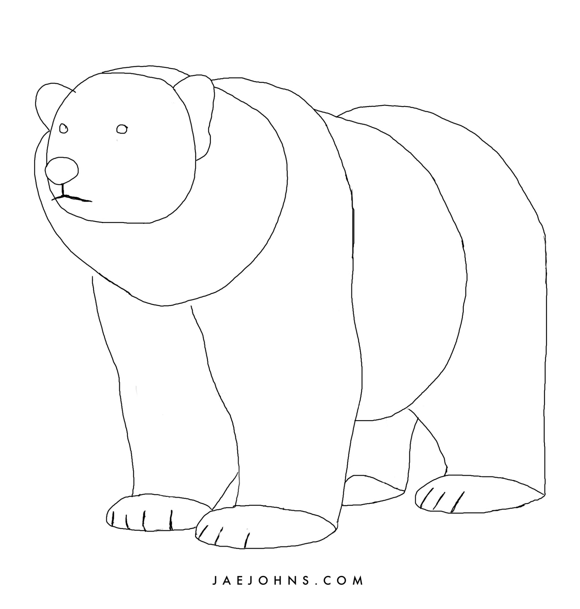 5 Steps to Draw a Polar Bear