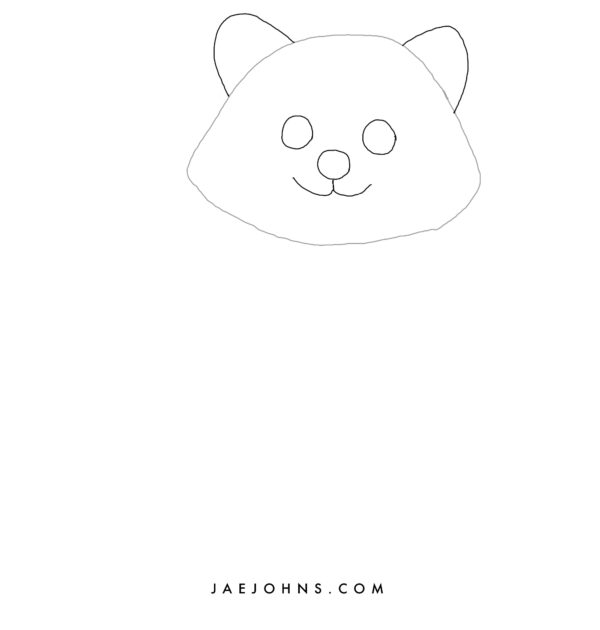 How to Draw a Raccoon