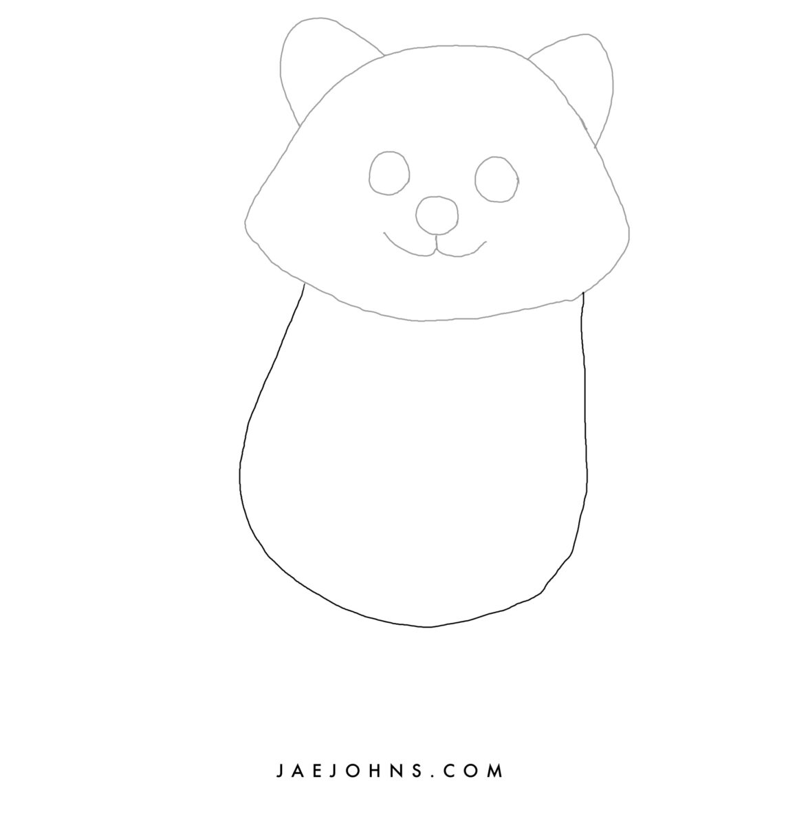 How to Draw a Raccoon