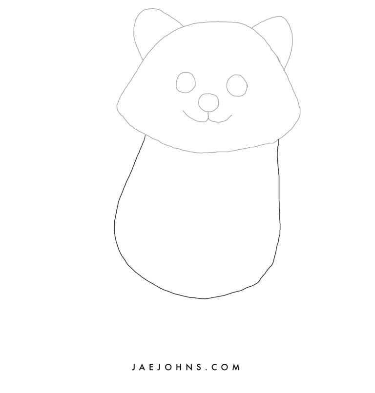 How to Draw a Raccoon