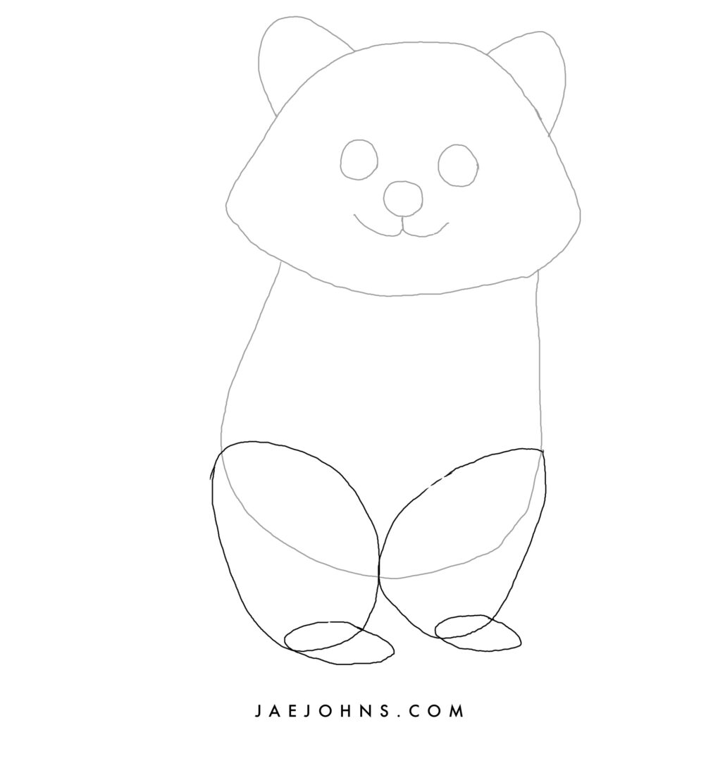 How to Draw a Raccoon