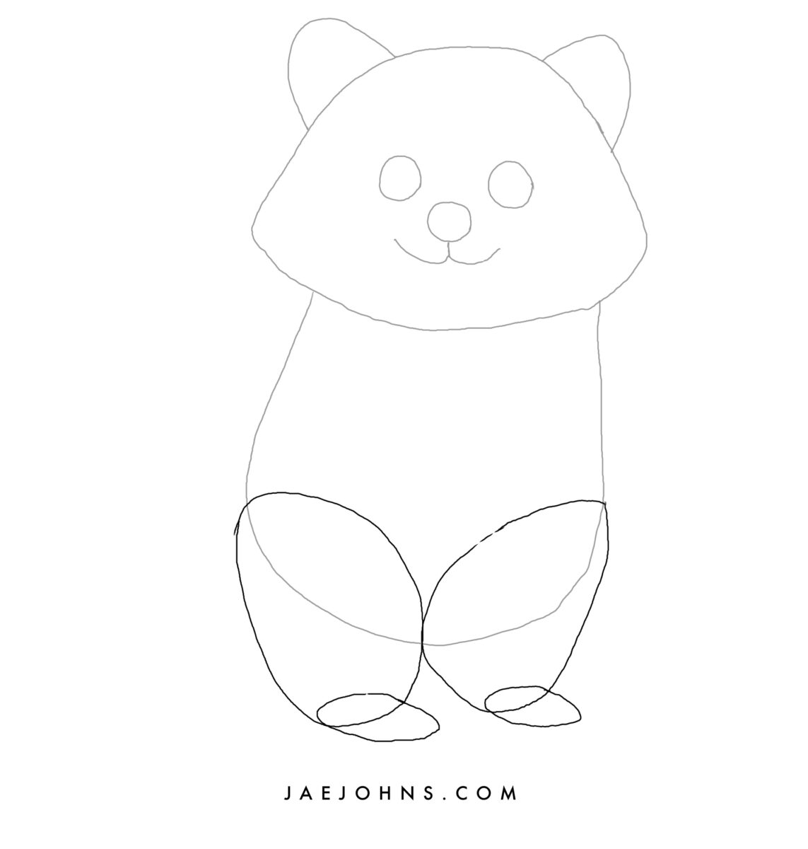 How to Draw a Raccoon