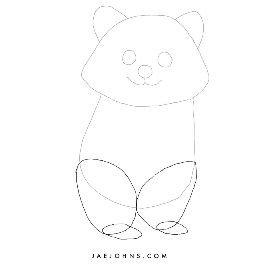 How to Draw a Raccoon