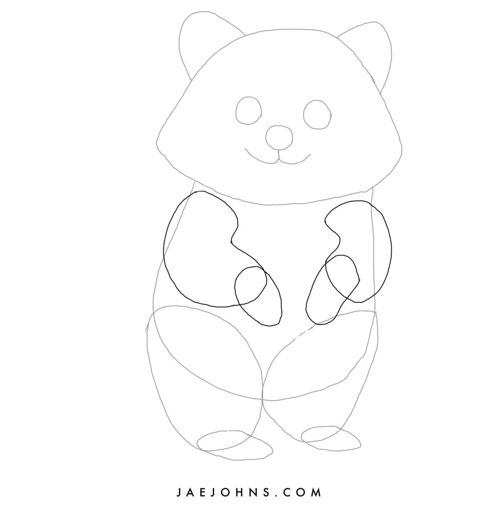 How to Draw a Raccoon