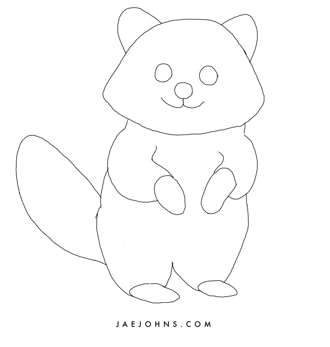 How to Draw a Raccoon