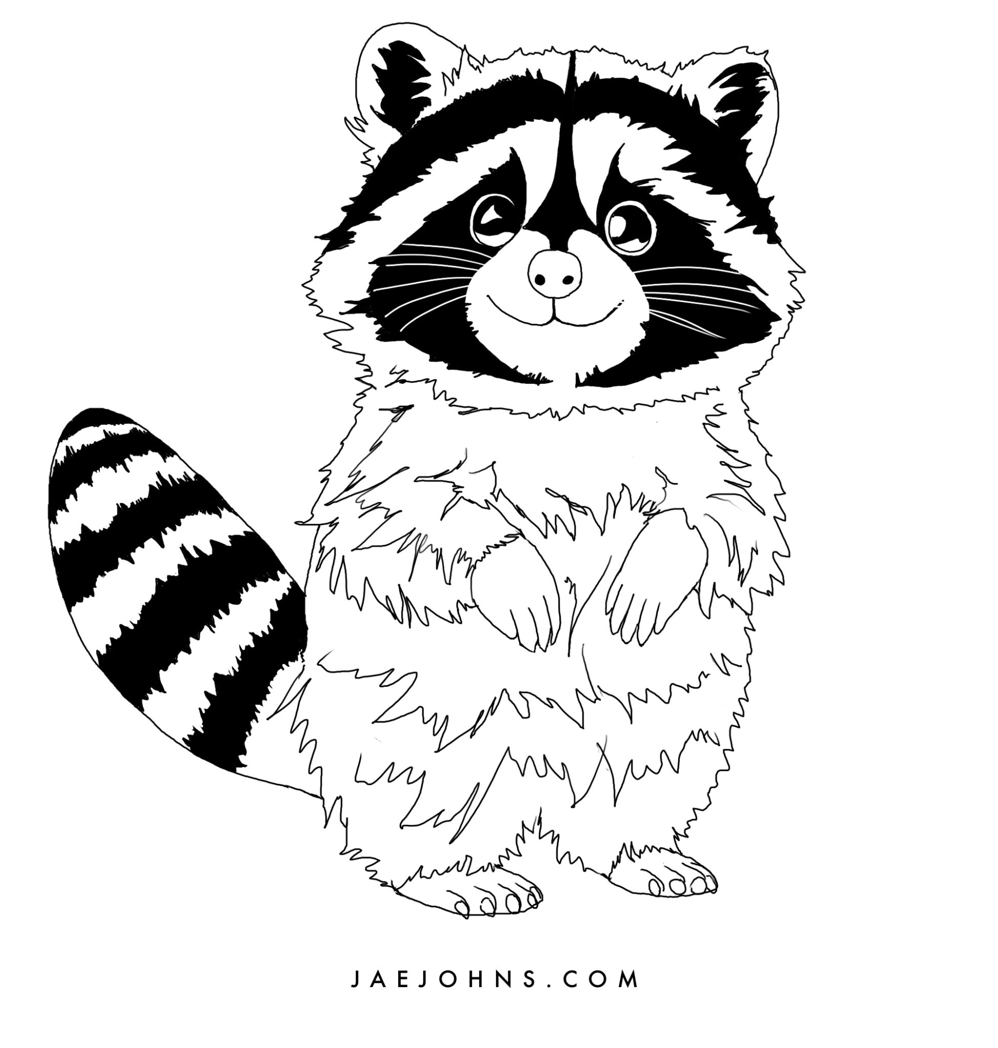 How to Draw a Raccoon