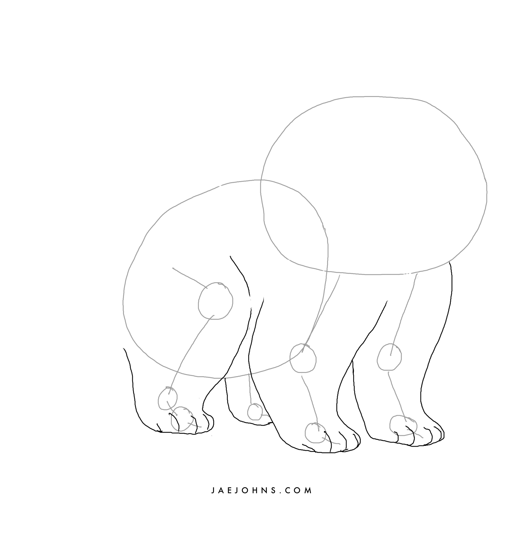 How to Draw a Red Panda