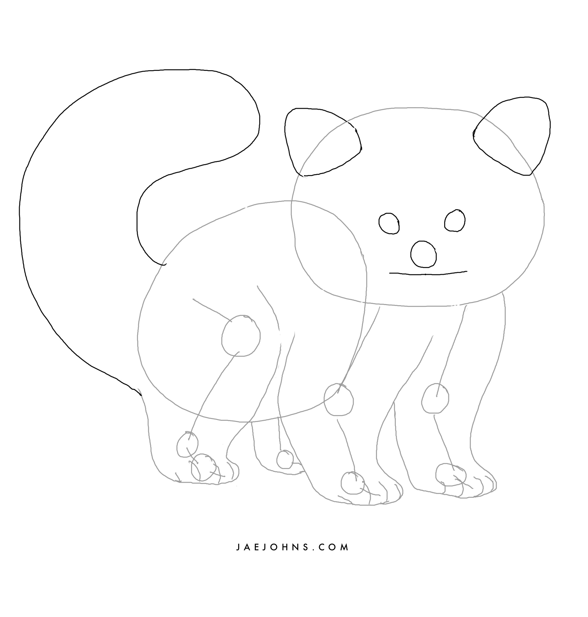 How to Draw a Red Panda