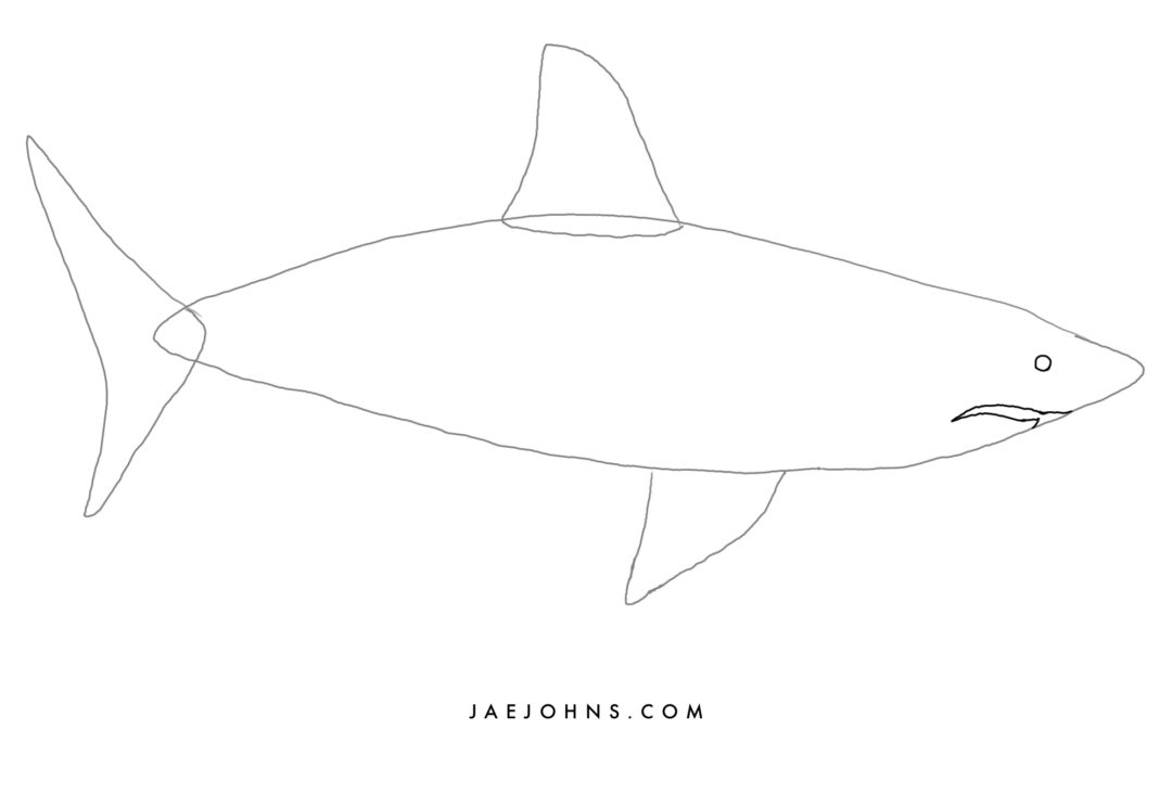 5 Easy Steps to Draw a Shark