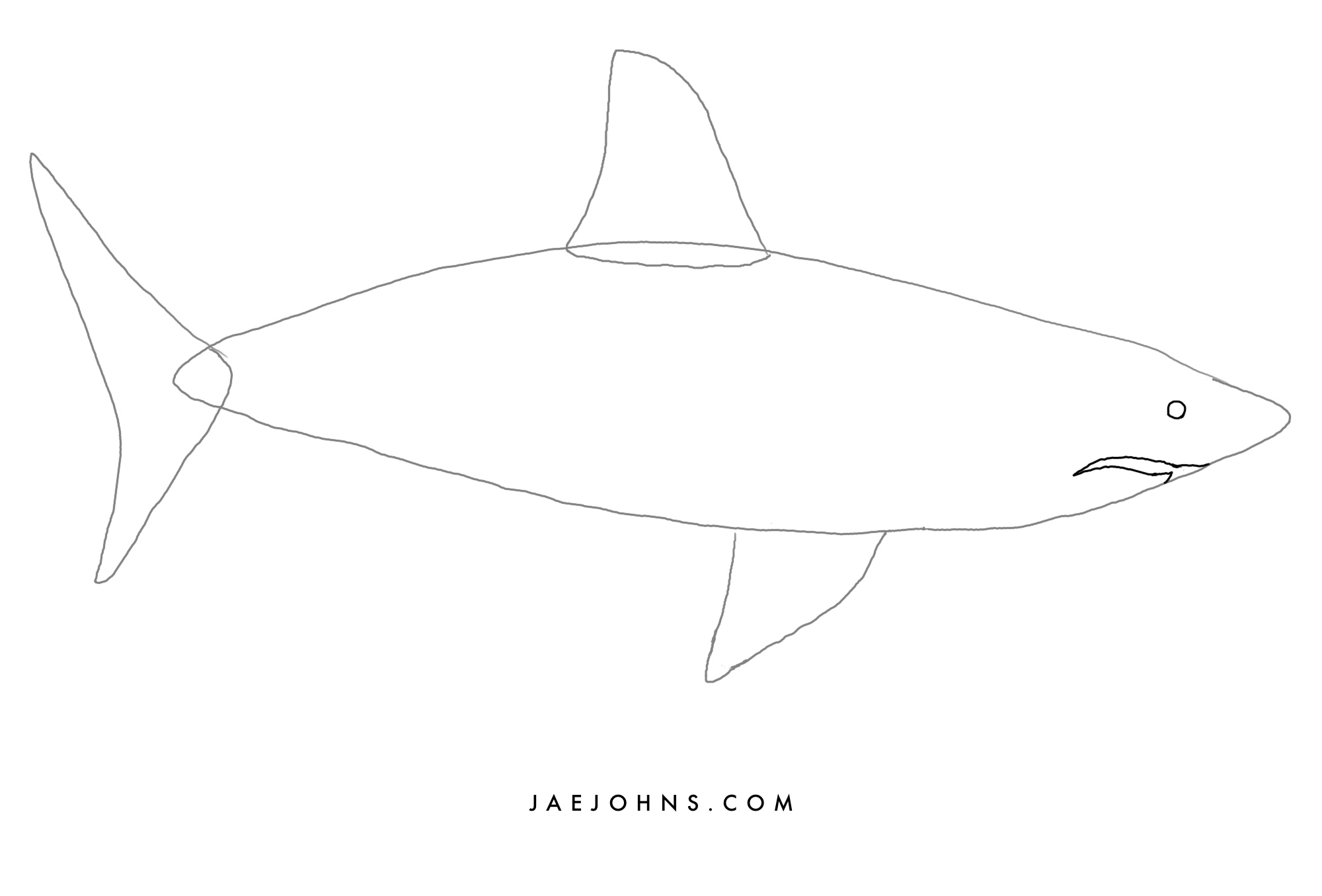5 Easy Steps to Draw a Shark