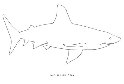 5 Easy Steps to Draw a Shark