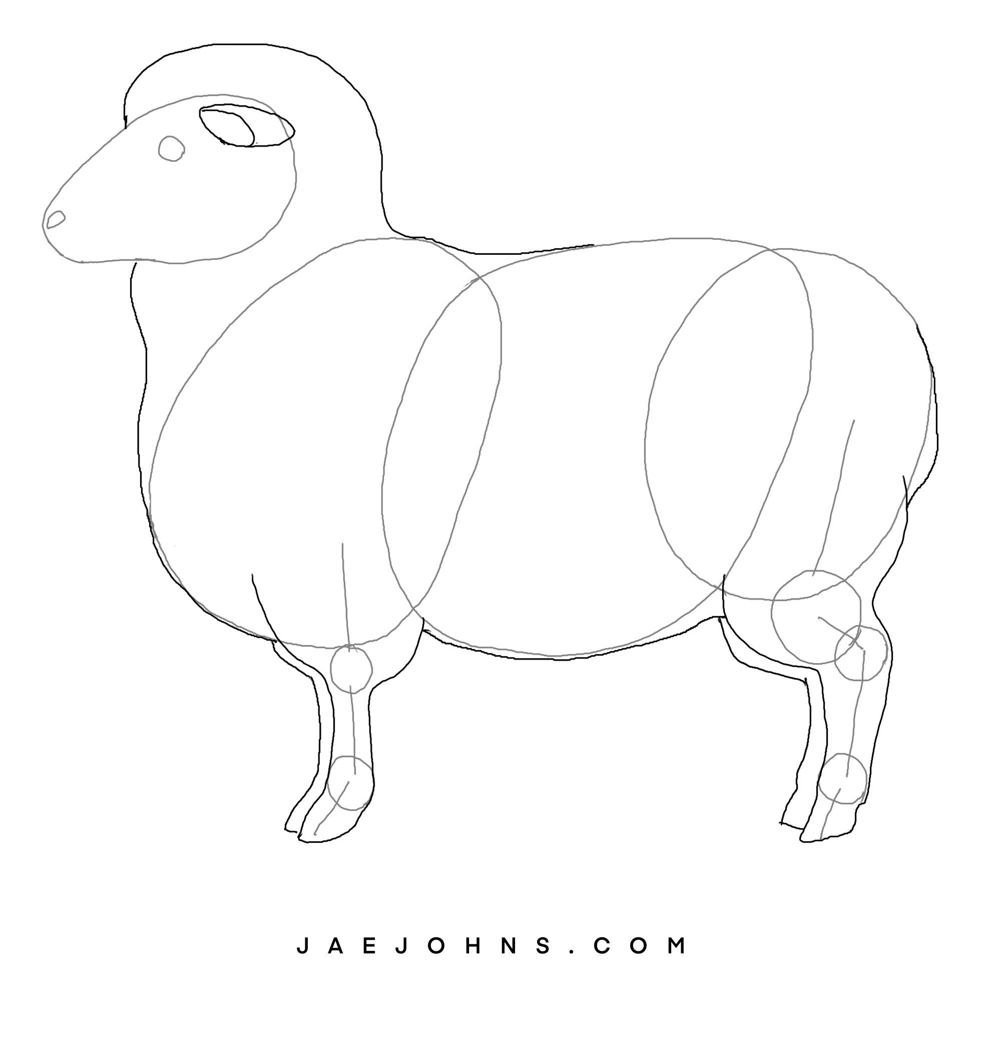 5 Easy Steps to Draw a Sheep