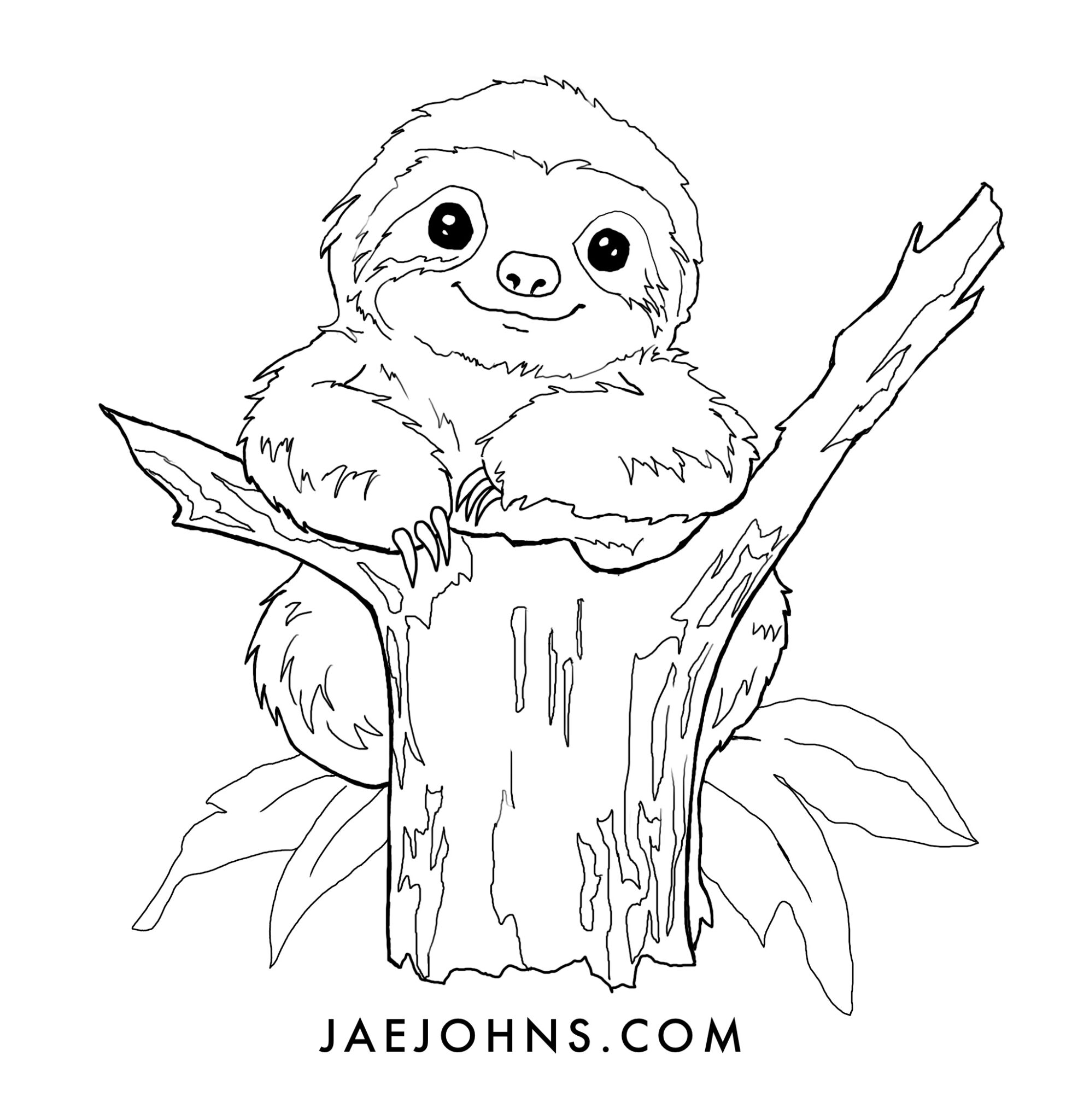 How to Draw a Sloth