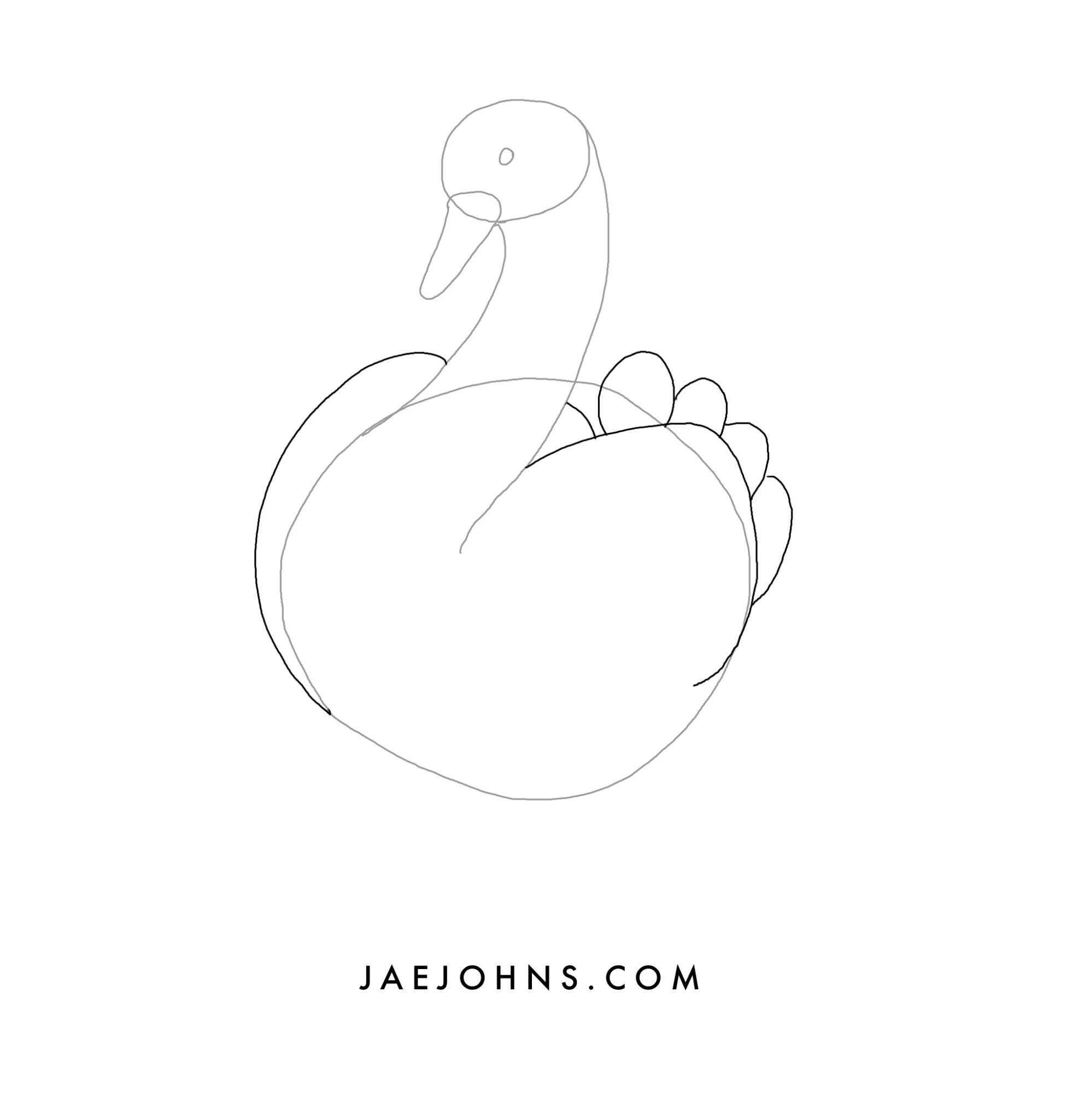 How to Draw a Swan