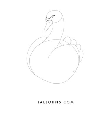 How to Draw a Swan