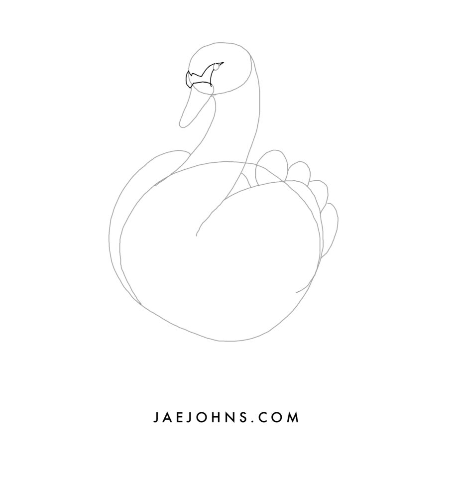 How to Draw a Swan