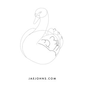 How to Draw a Swan